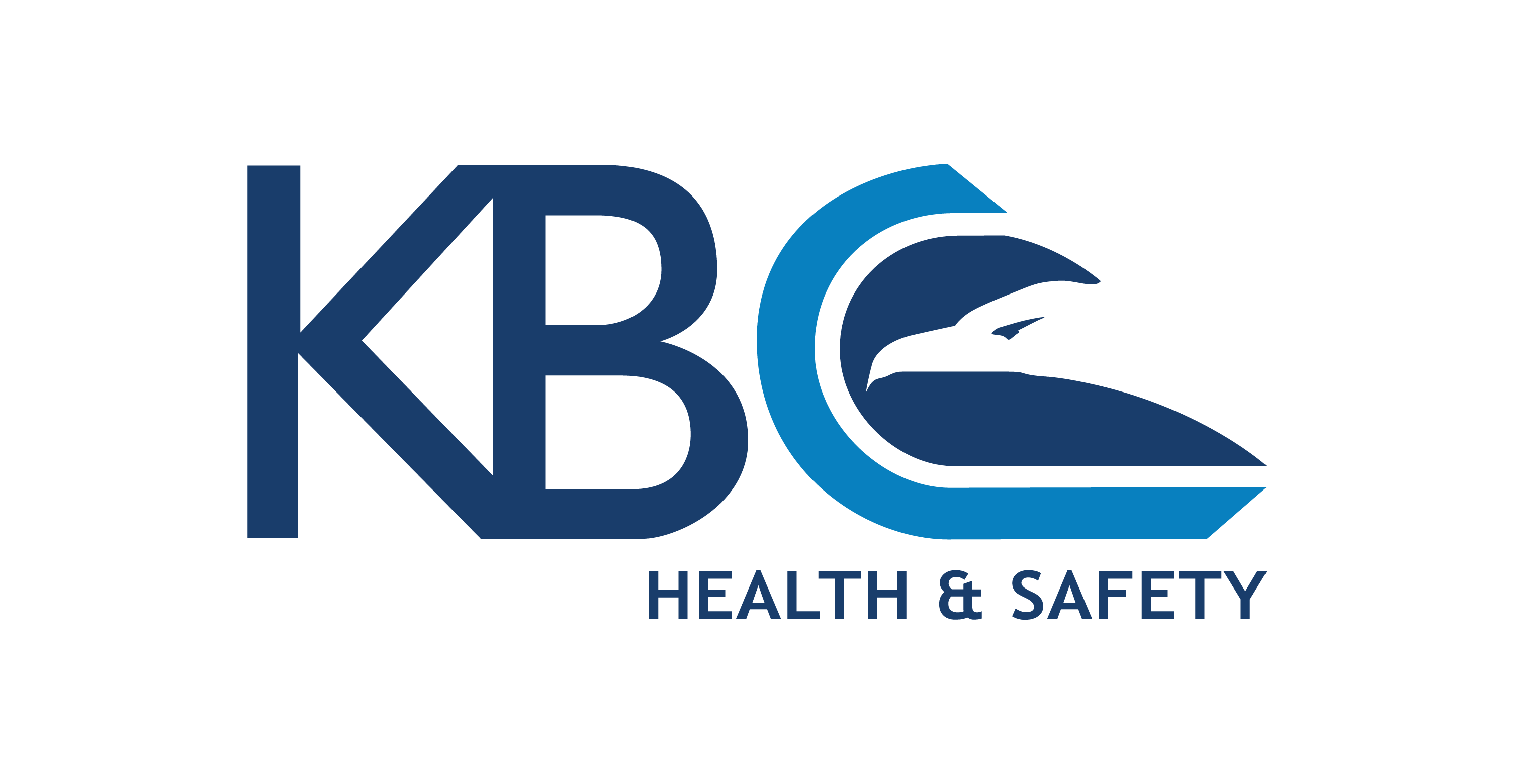 Summary of KBC - MHSA Regulations - 2.6.1 and 2.9.2 Appointee (V3.00)